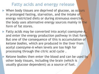 Fat metabolism | PPTX