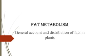 Fat Metabolism Undergraduate Botany Biochemistry | PPT
