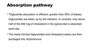 fat metabolism and evaluation of Triglycerides.pptx