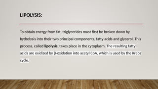 BAMS physiology ppt on fat metabolism.pptx