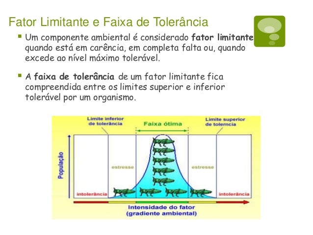 Fatores abio limitantes