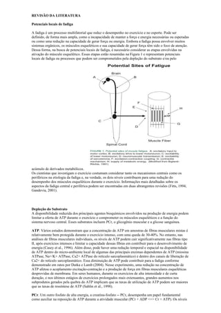 Fatores metabólicos na fadiga | DOC