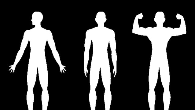 FAT PPT for igcse biology explaining the topic in detail. | PDF