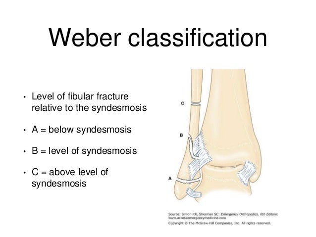 Foot and ankle trauma - Derek Park