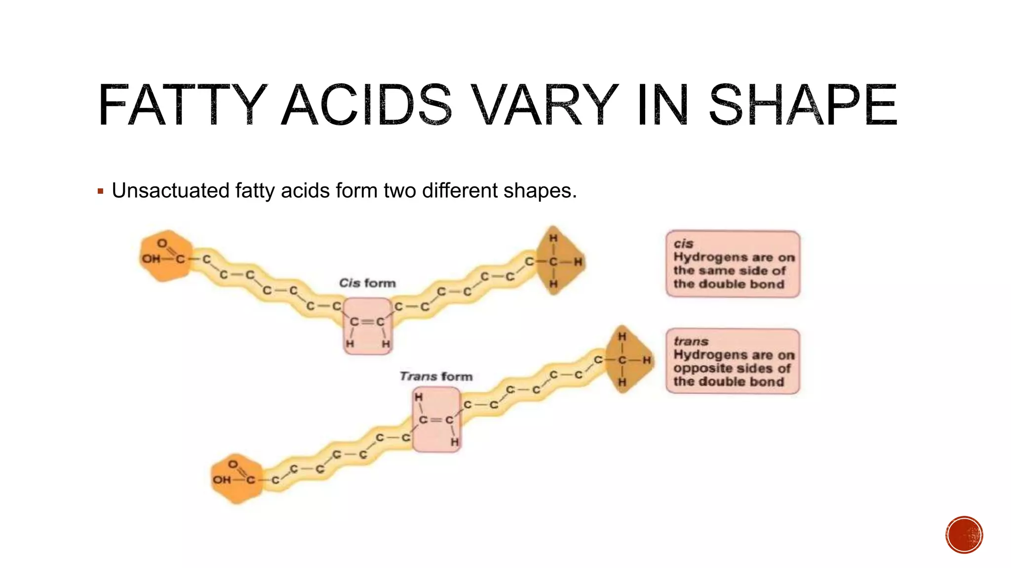 Fats - Structure and Composition | PPTX