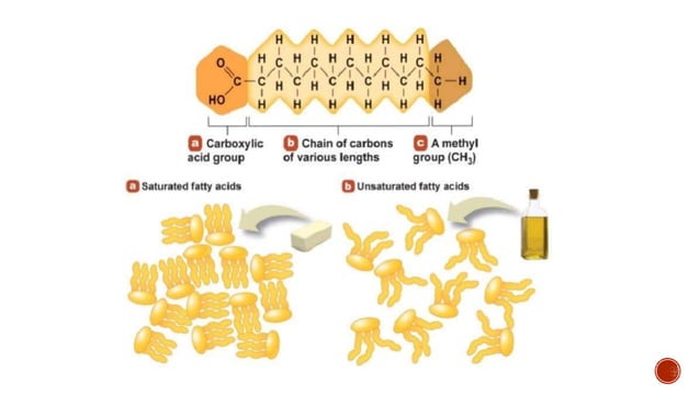 Fats - Structure and Composition | PPTX | Chemistry | Science