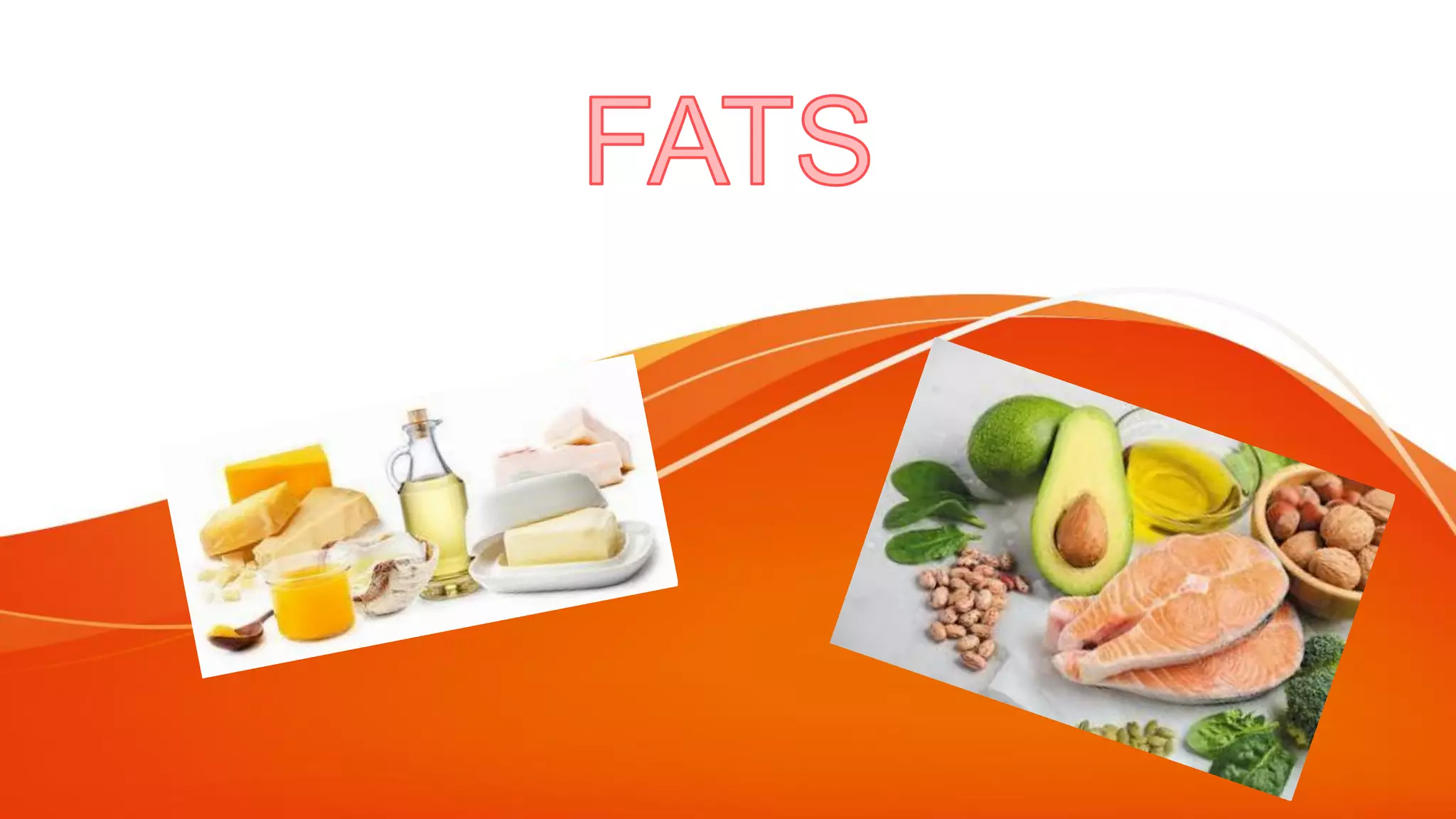 Fats | PDF