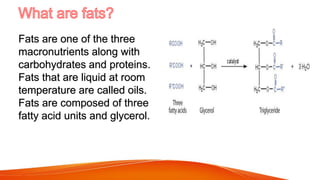 Fats | PDF