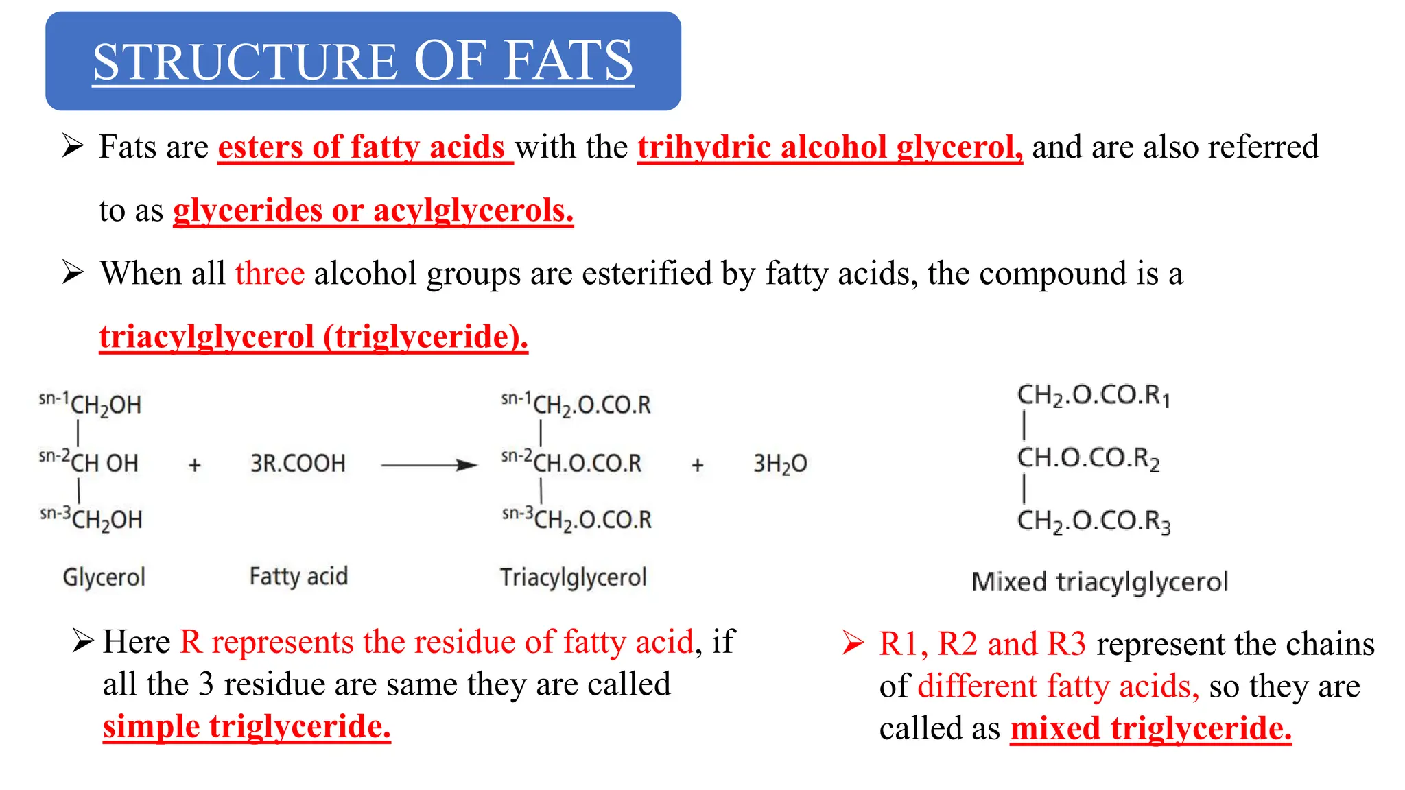 CLASSIFICATION AND PROPERTIES OF FATS AND THEIR FUNCTIONS | PPTX