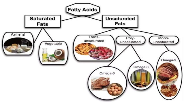 CLASSIFICATION AND PROPERTIES OF FATS AND THEIR FUNCTIONS | PPTX