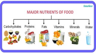 CLASSIFICATION AND PROPERTIES OF FATS AND THEIR FUNCTIONS | PPTX