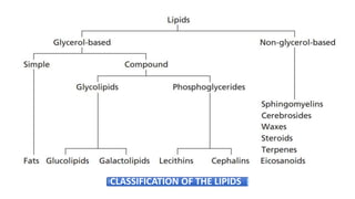 CLASSIFICATION AND PROPERTIES OF FATS AND THEIR FUNCTIONS | PPTX