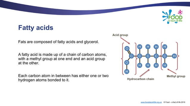 fats-ppt-1416cdocx.pptx