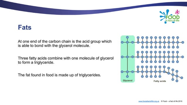 fats-ppt-1416cdocx.pptx