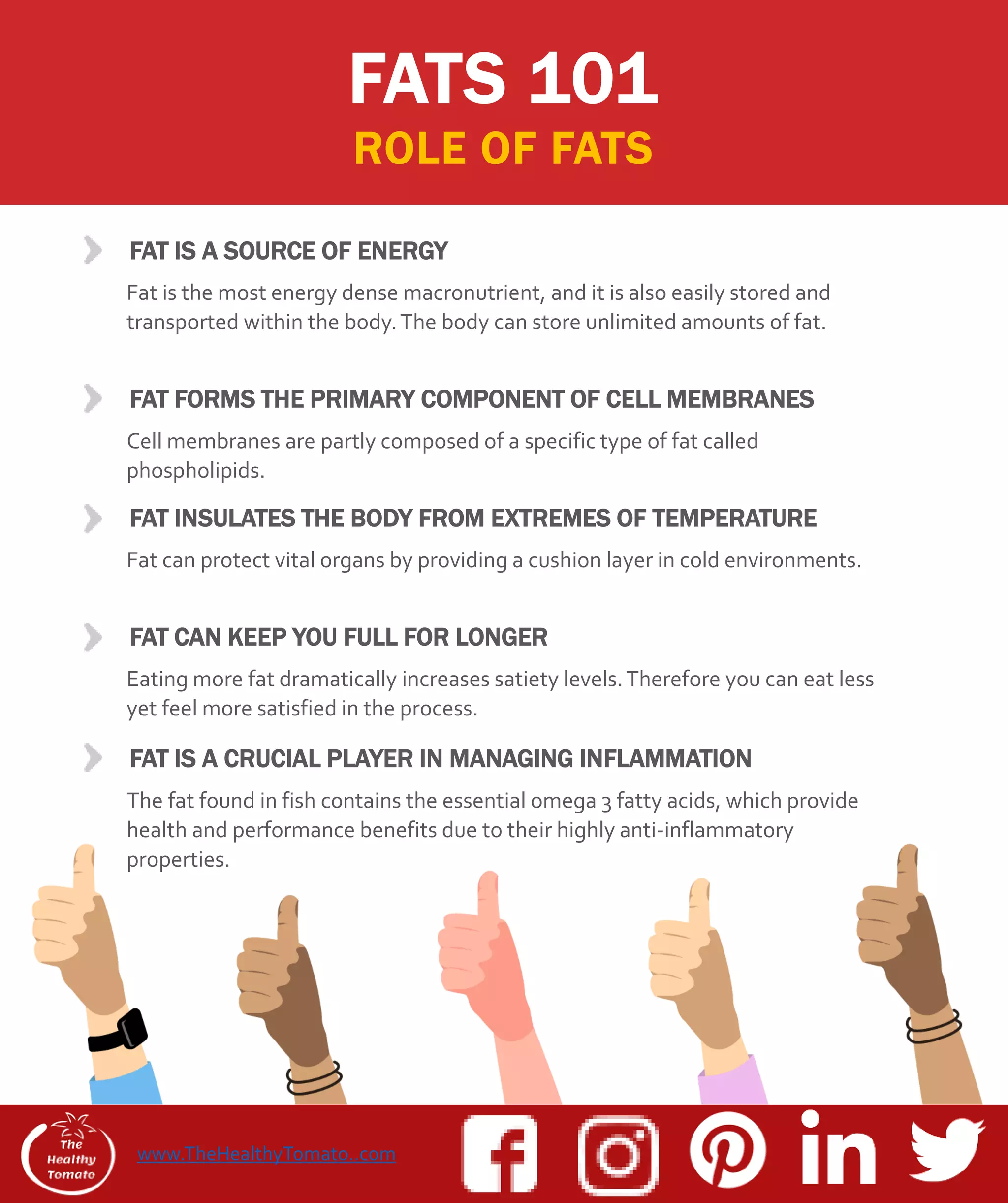 Fats 101 | PDF