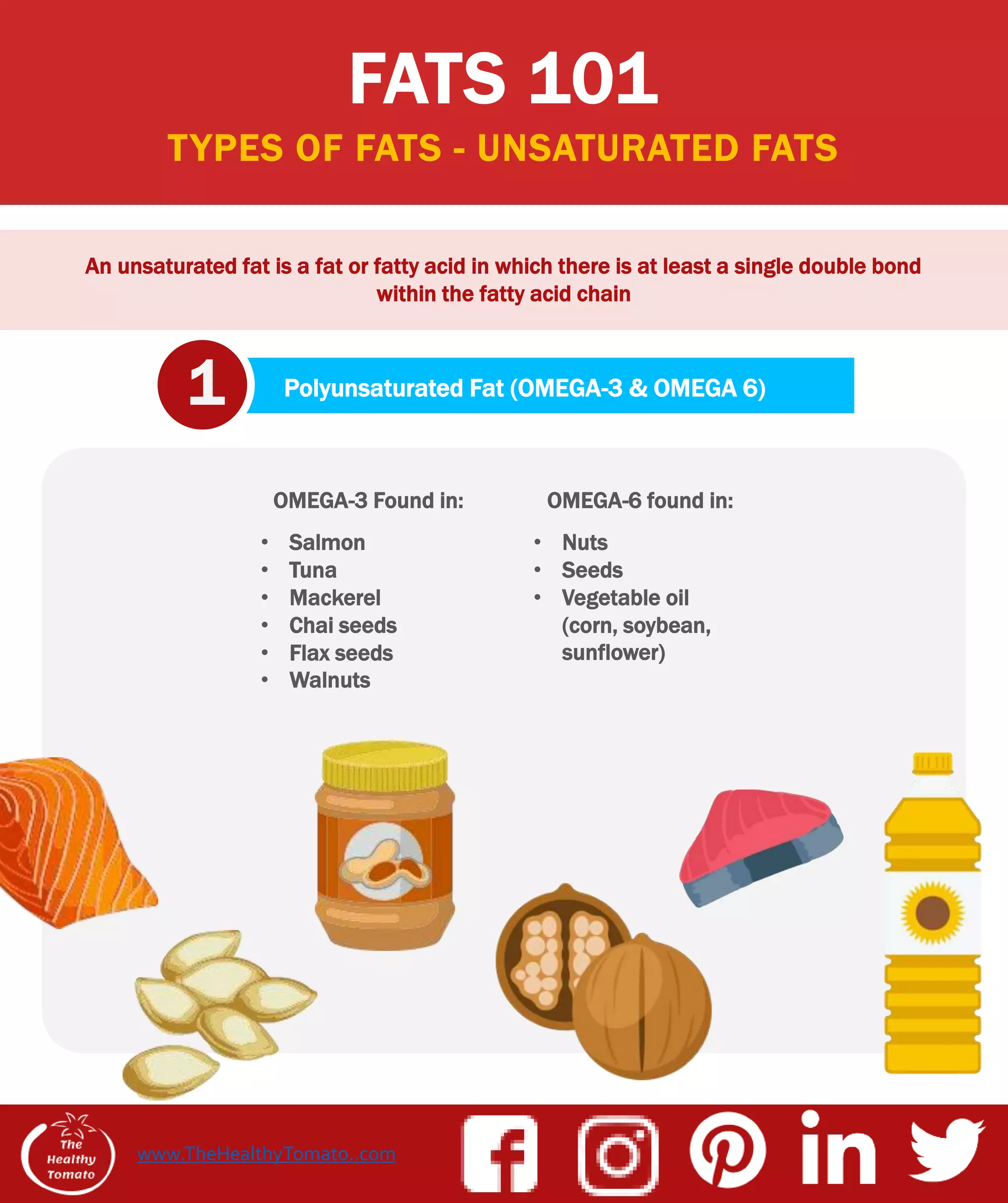 Fats 101 | PDF