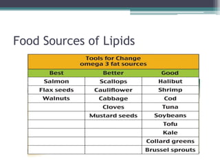 Lipids Food List