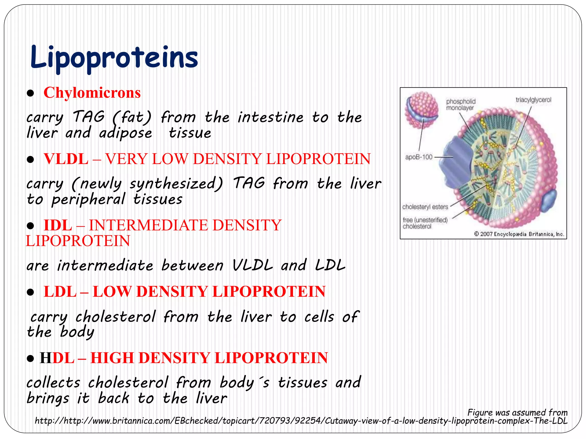 Fats and oils | PPTX