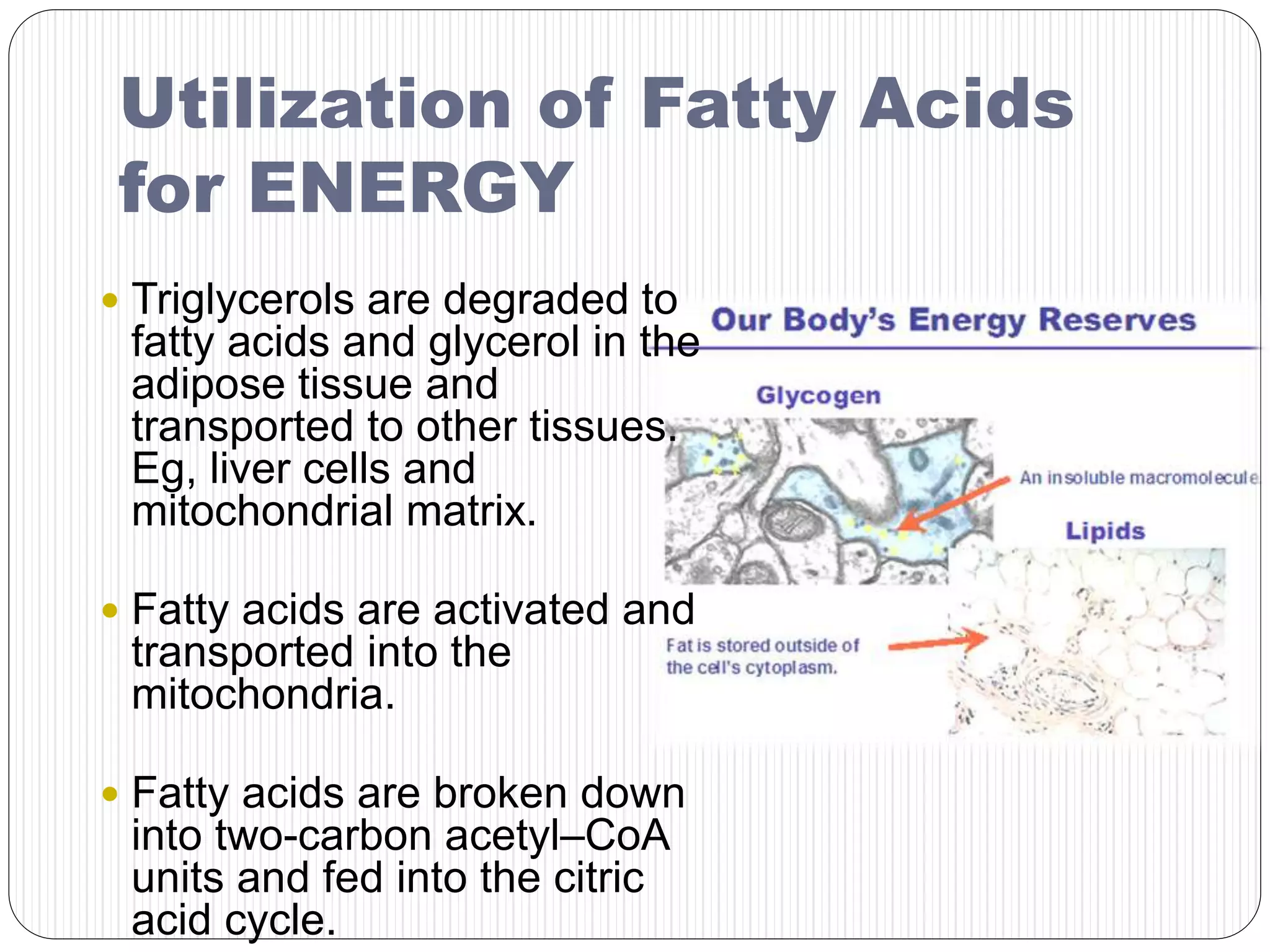 Fats and oils | PPTX