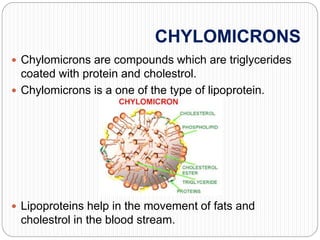 Fats and oils | PPTX