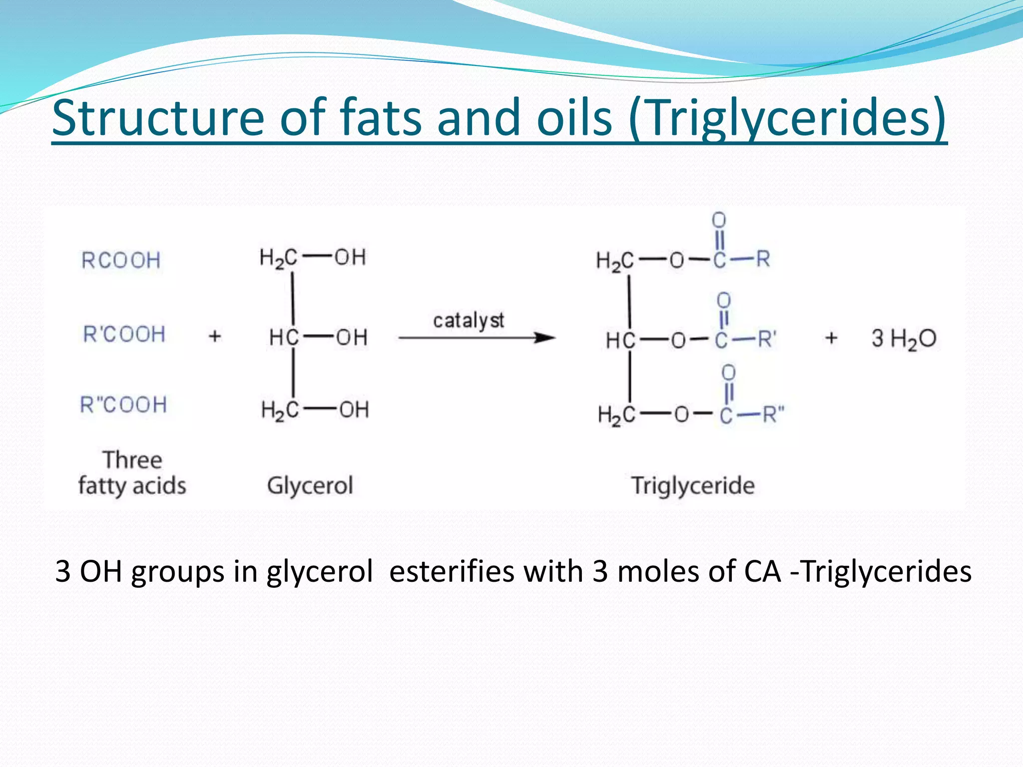 FATS AND OILS.pptx