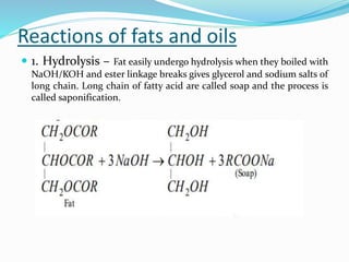 FATS AND OILS.pptx