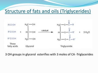 FATS AND OILS.pptx
