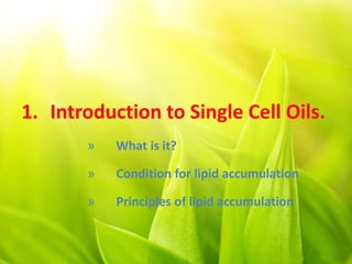 Fats and oils production by microorganisms | PPTX