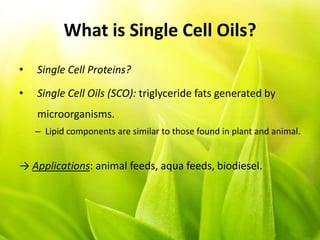 Fats and oils production by microorganisms | PPTX