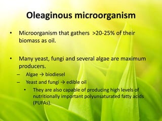 Fats and oils production by microorganisms | PPTX