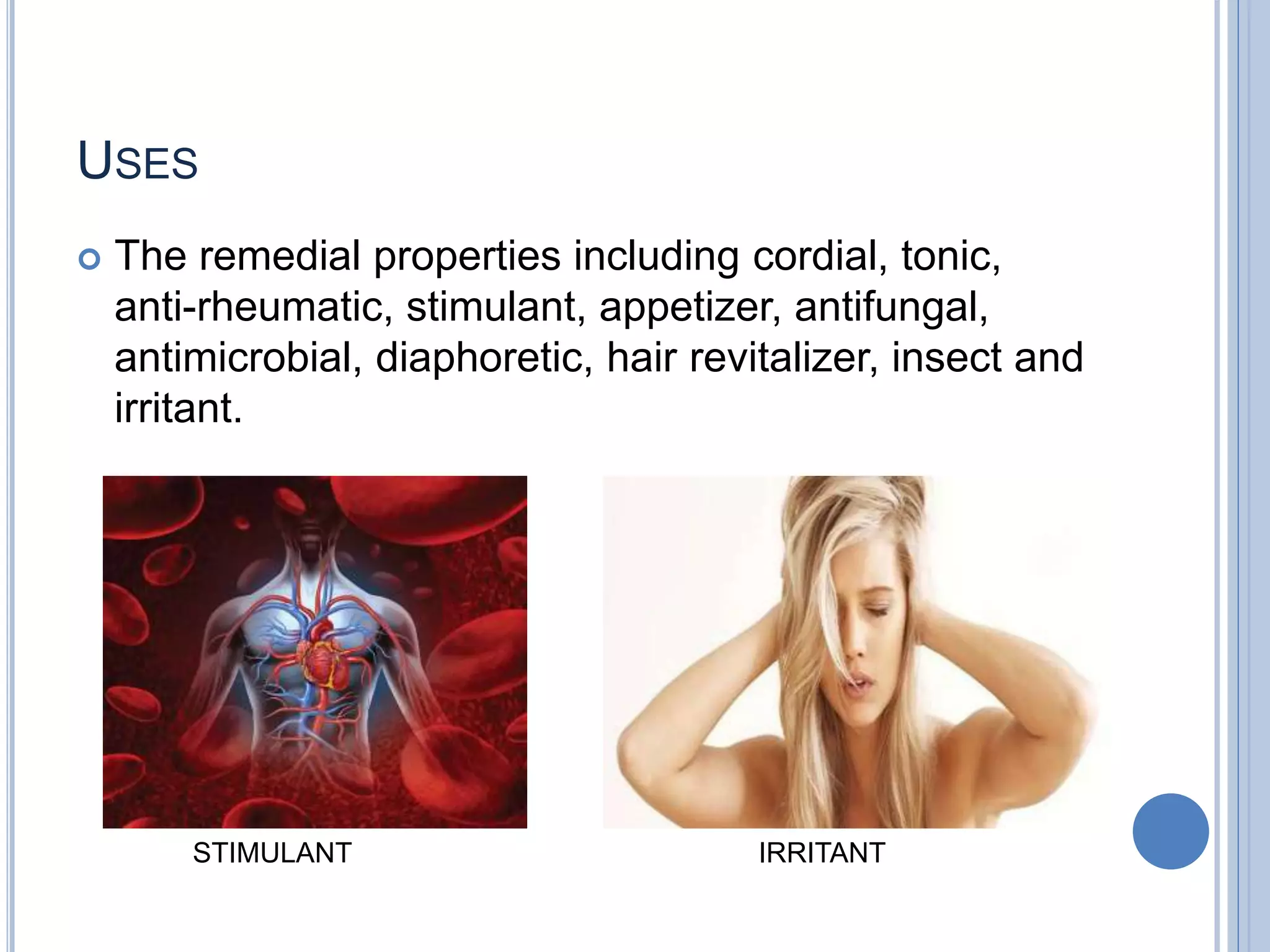 mustard oil in cosmetics | PPT