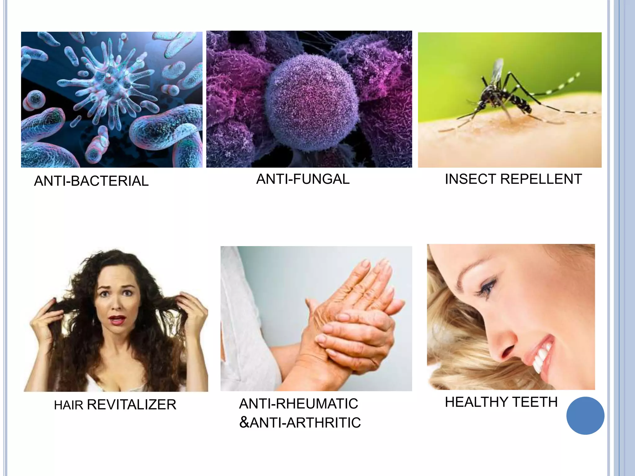 mustard oil in cosmetics | PPT