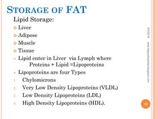 Fats as a nutrient | PDF