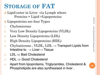 Fats as a nutrient | PDF