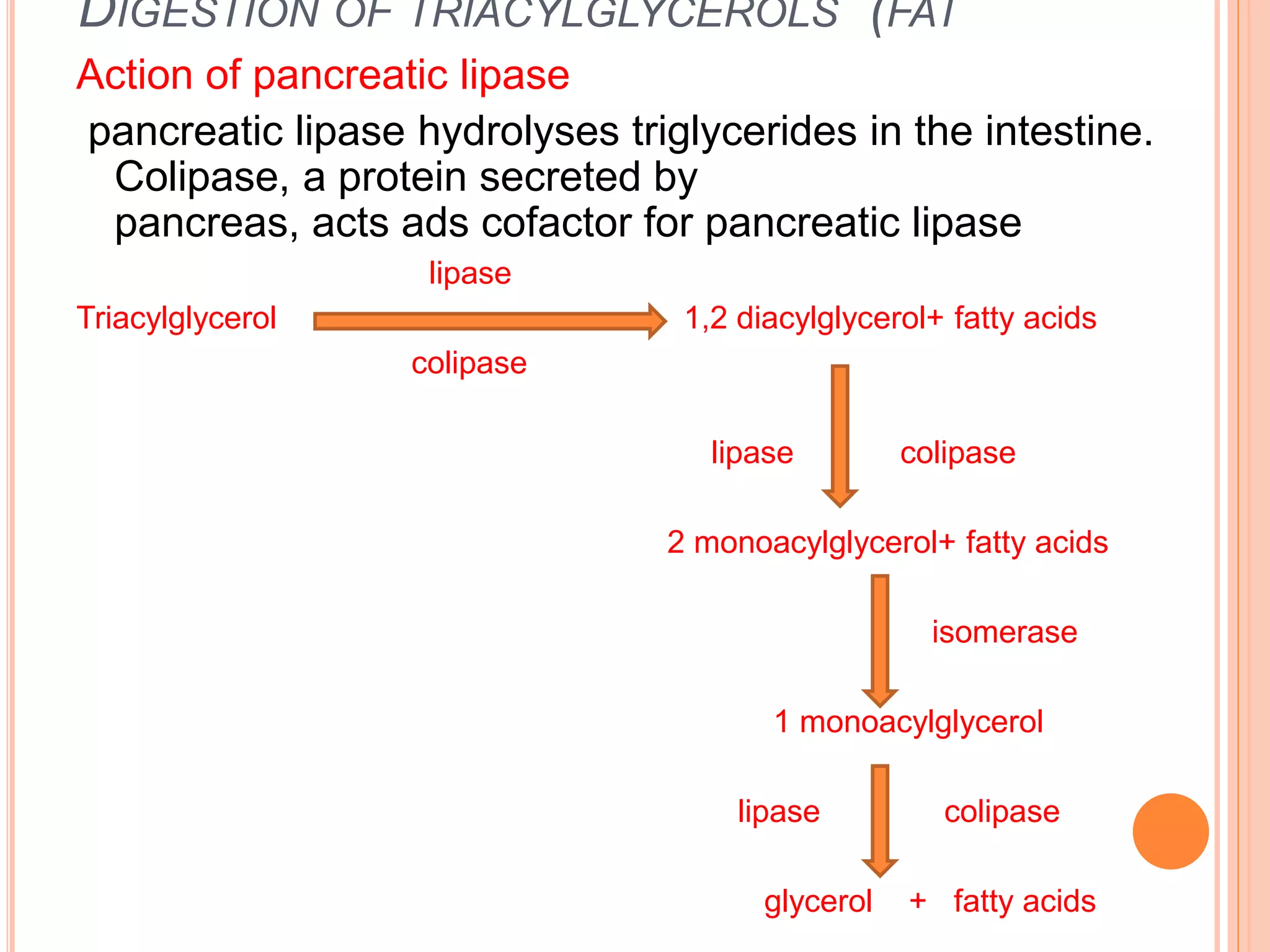 Fats notes for nursing students | PPTX