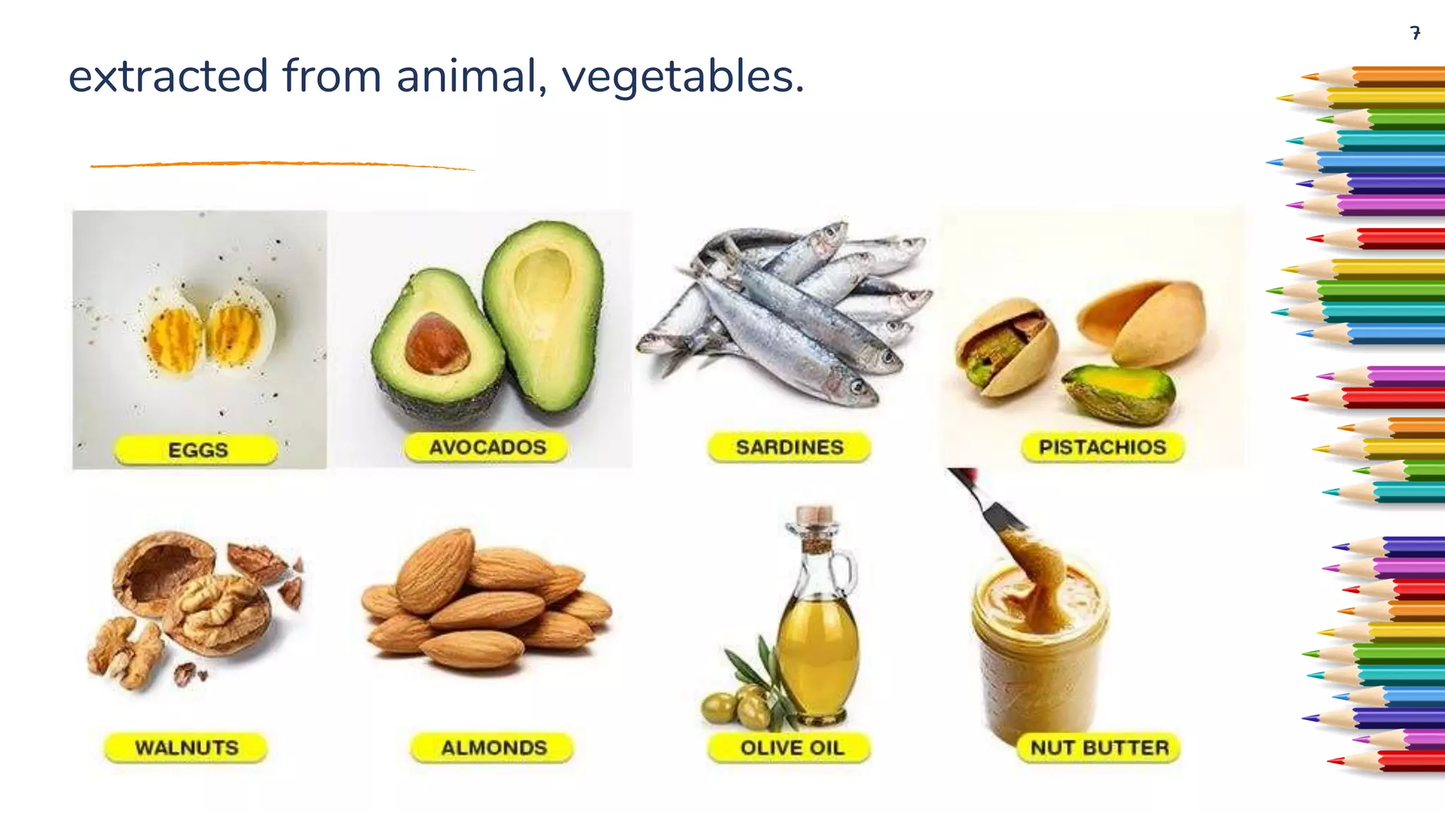 Fatsoils 200915071149 | PDF