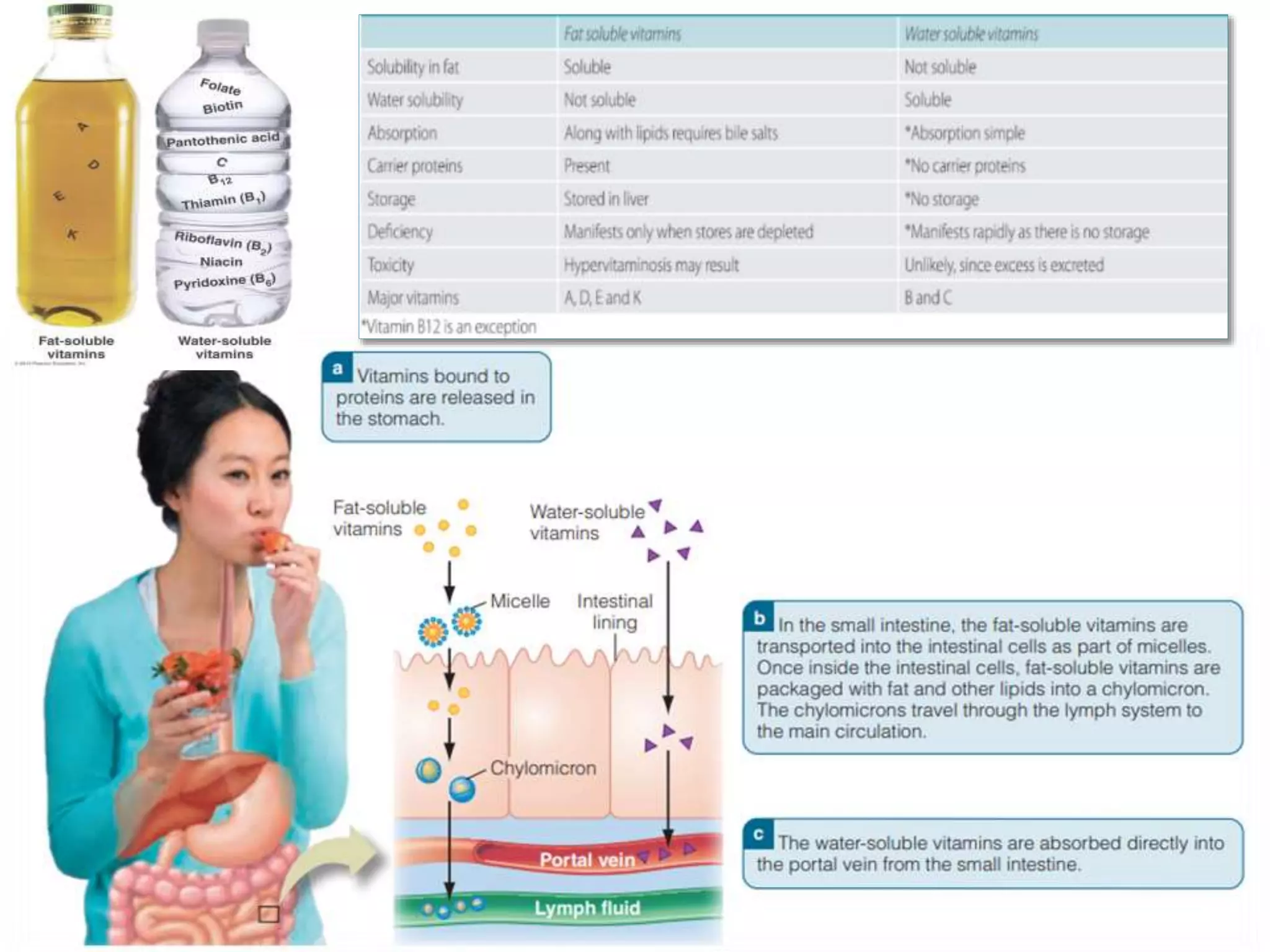 Fat Soluble Vitamins Structure Rda Functions Sources Deficiency