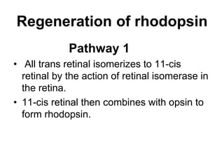 FAT SOLUBLE VITMAINS final.ppt