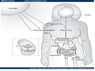 FAT SOLUBLE VITMAINS final.ppt