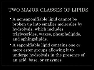 Lipids | PPT