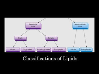 Lipids | PPT | Free Download