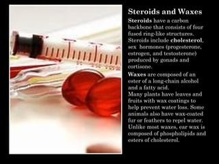 Lipids | PPT