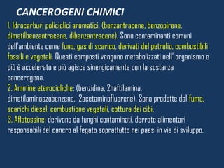 Fattori cancerogeni | PPT