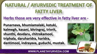 Fatty liver natural cure | Fatty liver ayurvedic treatment | PPT