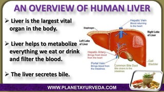 Fatty liver natural cure | Fatty liver ayurvedic treatment | PPT