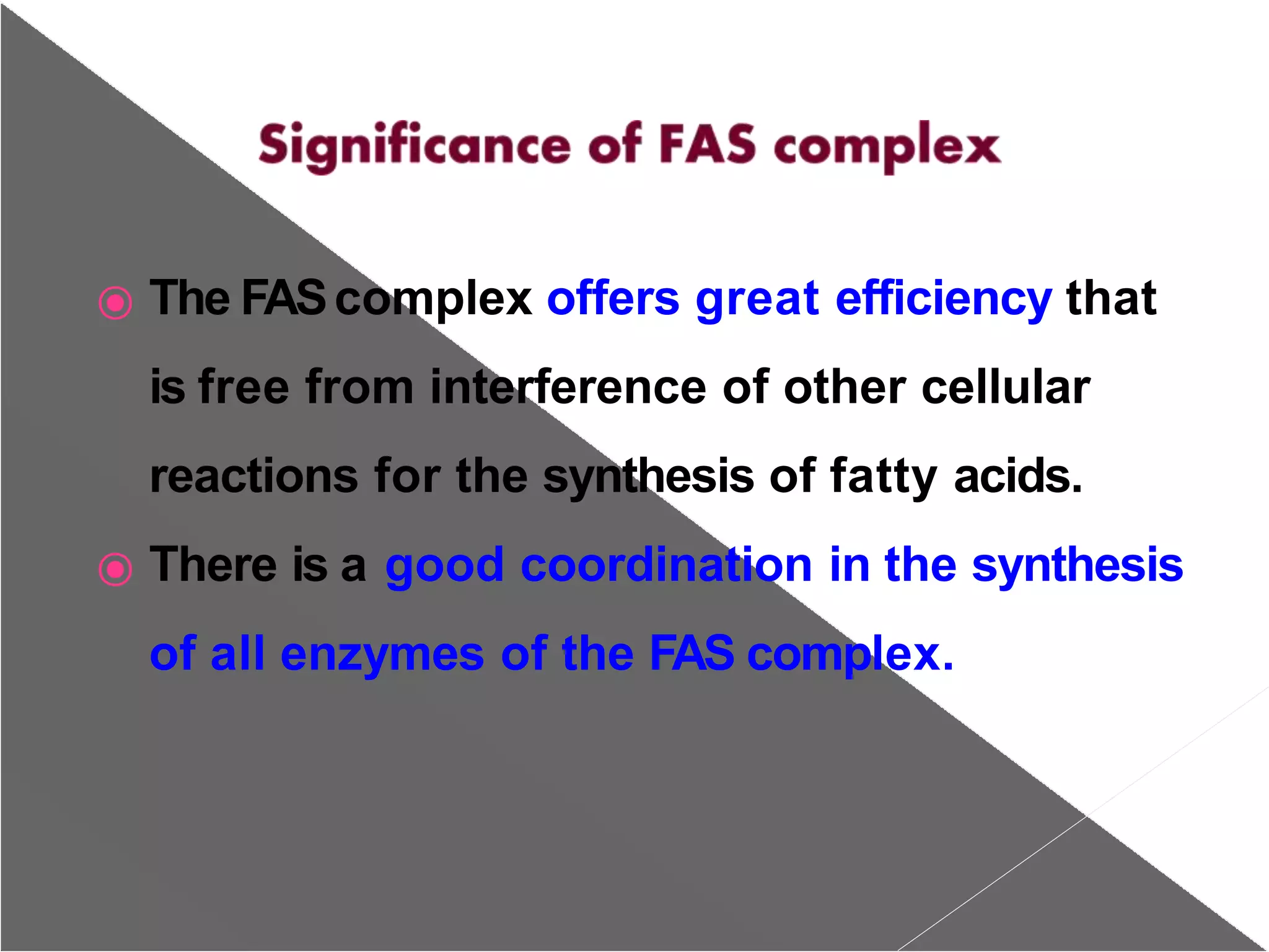 fatty acid (1).pptx