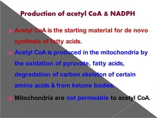 fatty acid (1).pptx