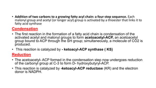 fatty acid biosynthesis.pptx