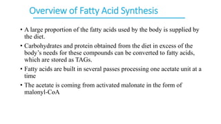 fatty acid biosynthesis.pptx