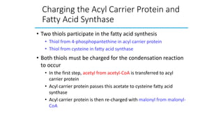 fatty acid biosynthesis.pptx